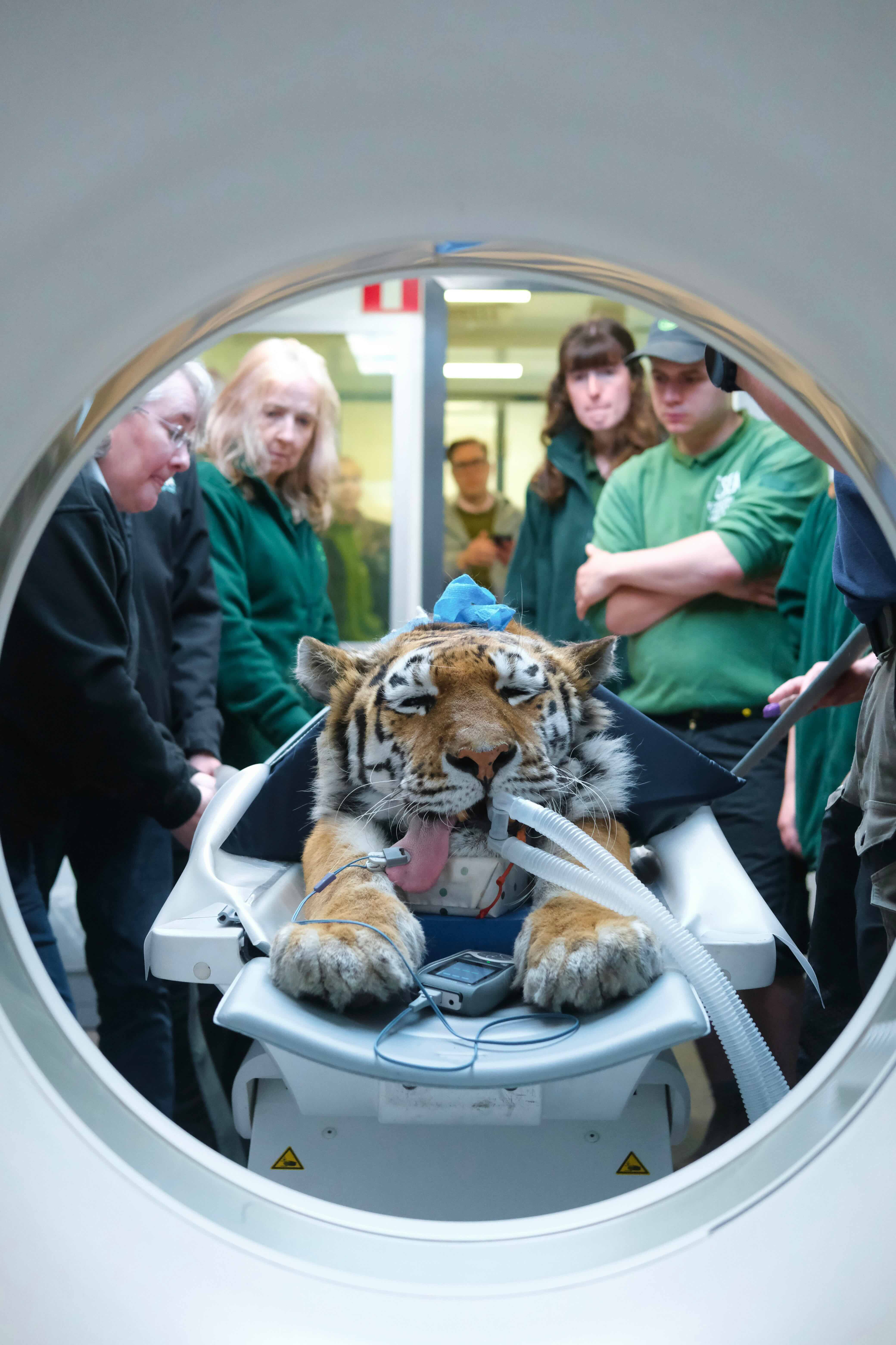 Banham Zoo Completes First-Ever On-Site CT Scanning Day to Advance ...